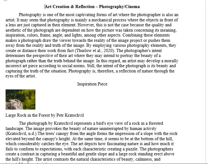 (Solution) HUMN303N Week 6 Assignment: Art Creation & Reflection – Photography/Cinema - Modules ...